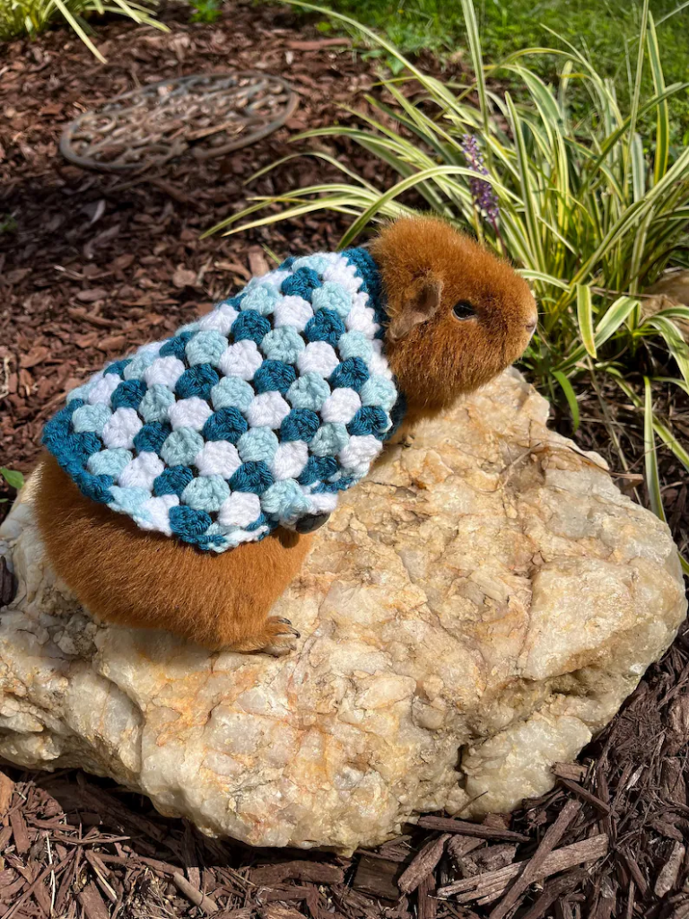 50+ Crochet Patterns to Dress Up Your Pets – Yarn Crafts & Coffee