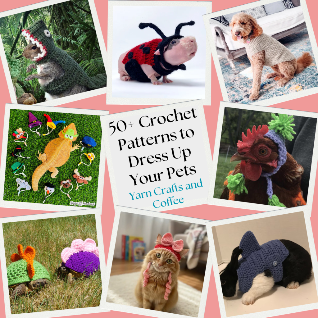 50+ Crochet Patterns to Dress Up Your Pets – Yarn Crafts & Coffee